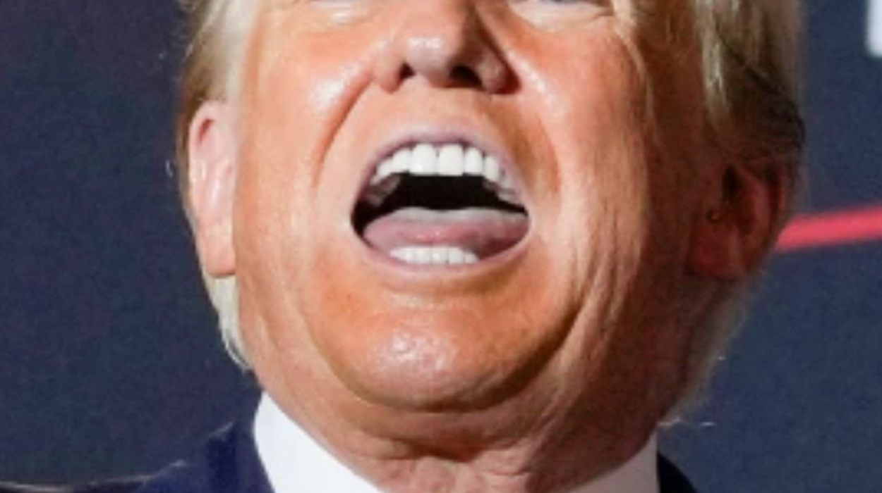 HELP PROVE I’M INNOCENT BY SENDING ME MONEY IMMEDIATELY - McSweeney’s ...