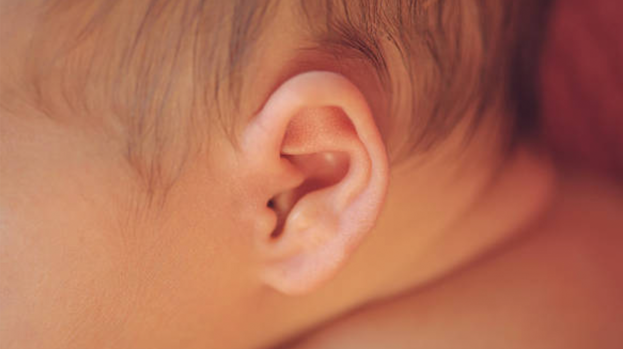 Threats Whispered into Our Drowsy Infant’s Ear - McSweeney’s Internet ...