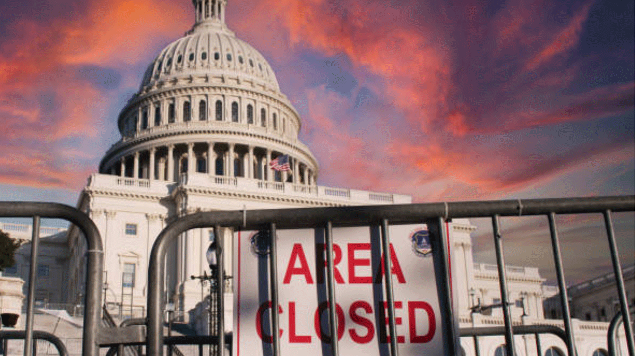 This Threat to Democracy Must Be Certified - McSweeney’s Internet Tendency